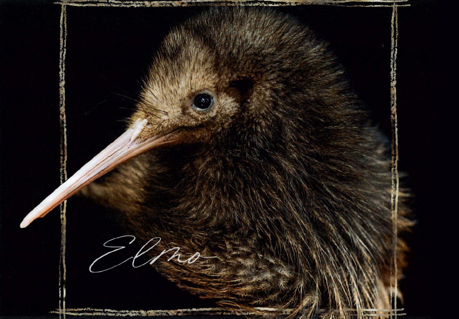 A Brief History of Elmo - Commercial Metals LTD